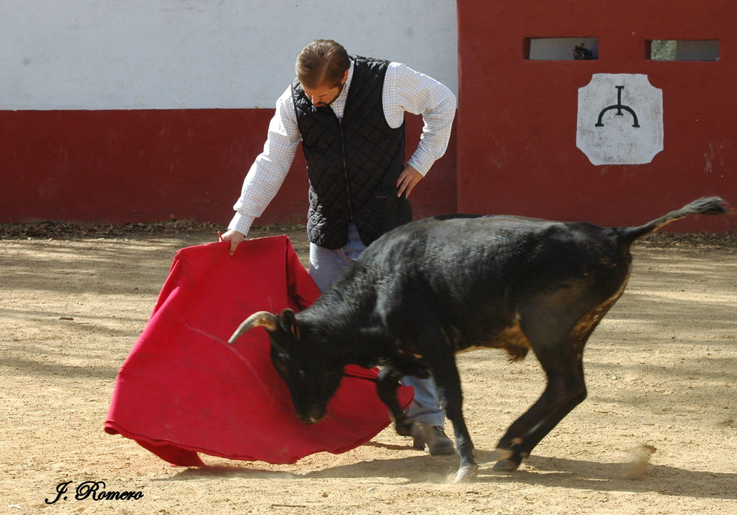 Aficionados Prácticos Taurinos de Córdoba: Tentadero de octubre de APTC