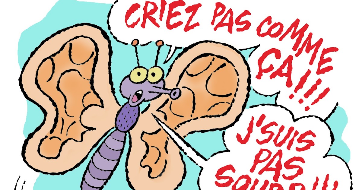 Claude Dubois - SYLVAIN, SYLVETTE... HUMOUR... etc...: IL N'Y A PAS QUE ...