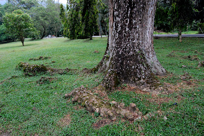 Taiping Photo Gallery