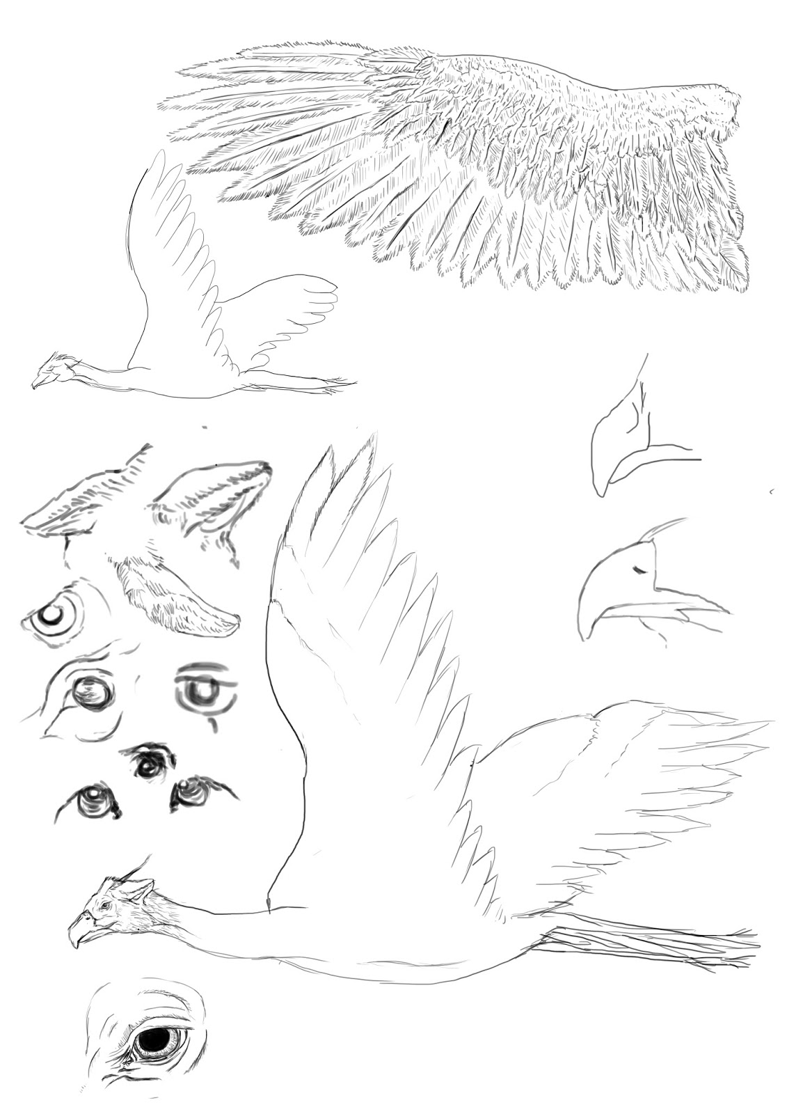 Digital Drawing- Creature