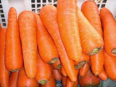 Tip Tap Tup Tap: Lobak Merah