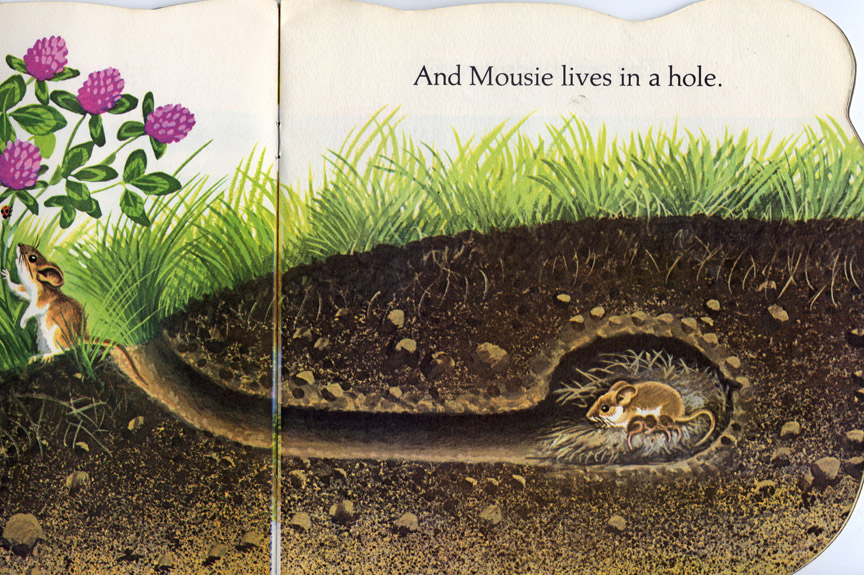 The Art of Children's Picture Books: Vintage Childrens Book: The Nest Book