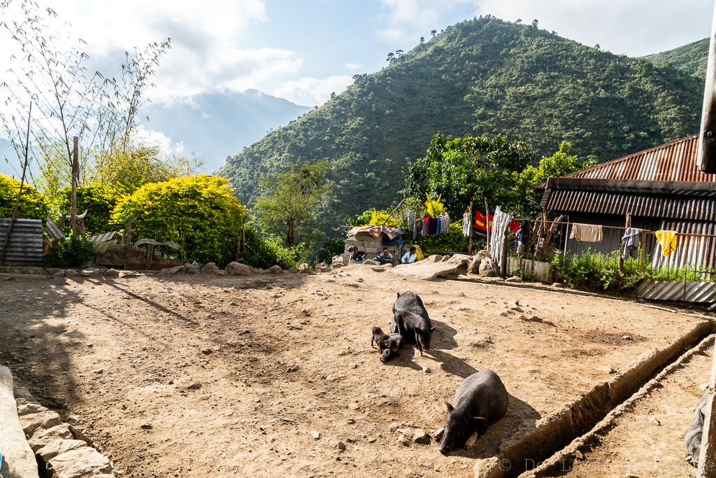 Philippines - jour 3 : De Buscalan à Sagada - de chair et d'os