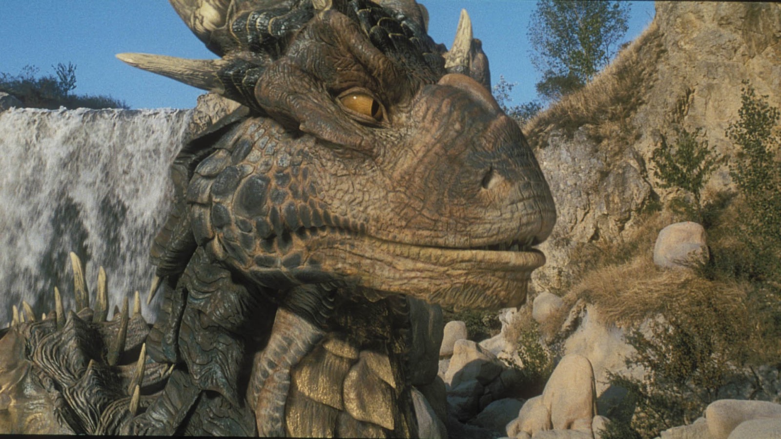 F This Movie!: All Things DRAGONHEART