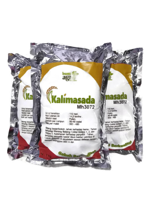 PADI UNGGUL KALIMASADA - Tani Makmur Nusantara