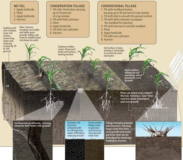domestication and climate: Tillage??