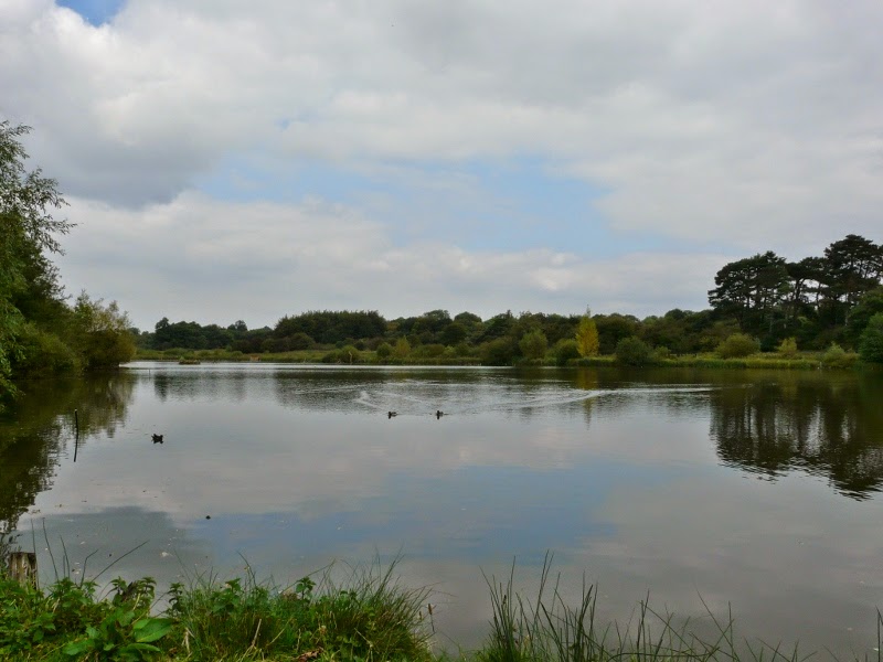 Cindy's Snaps: Hatfield Forest (stomping ground of my Hatfield Broad ...