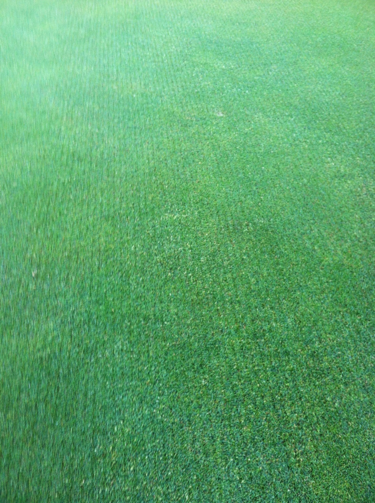 Marquette Golf Club Grounds: Verti-cutting Greens