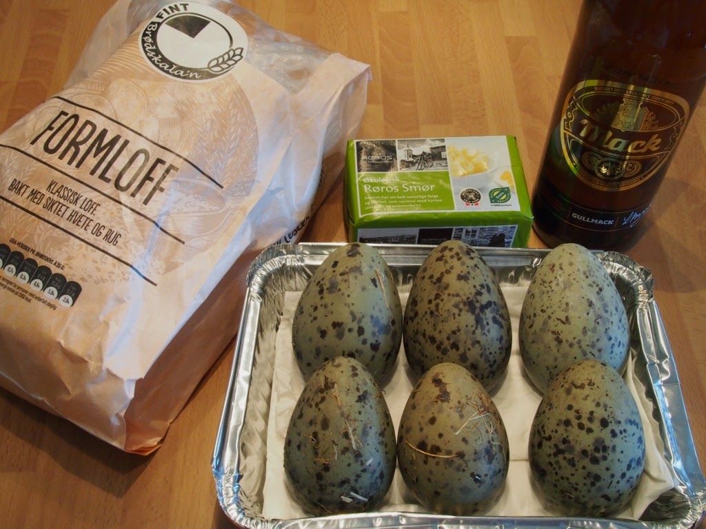 Becca and Daniel In Norway: Seagull eggs