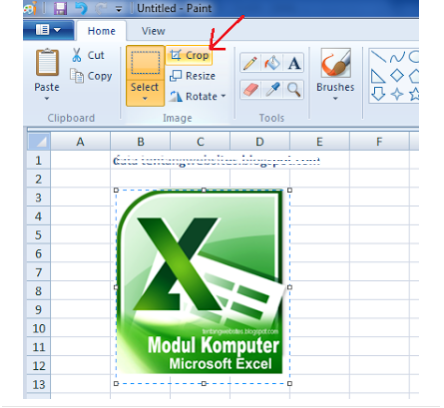 cara menjadikan photo pada microsoft excel menjadi photo biasa ...