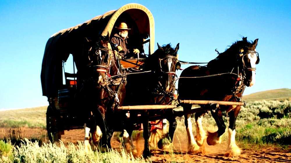 Covered wagon