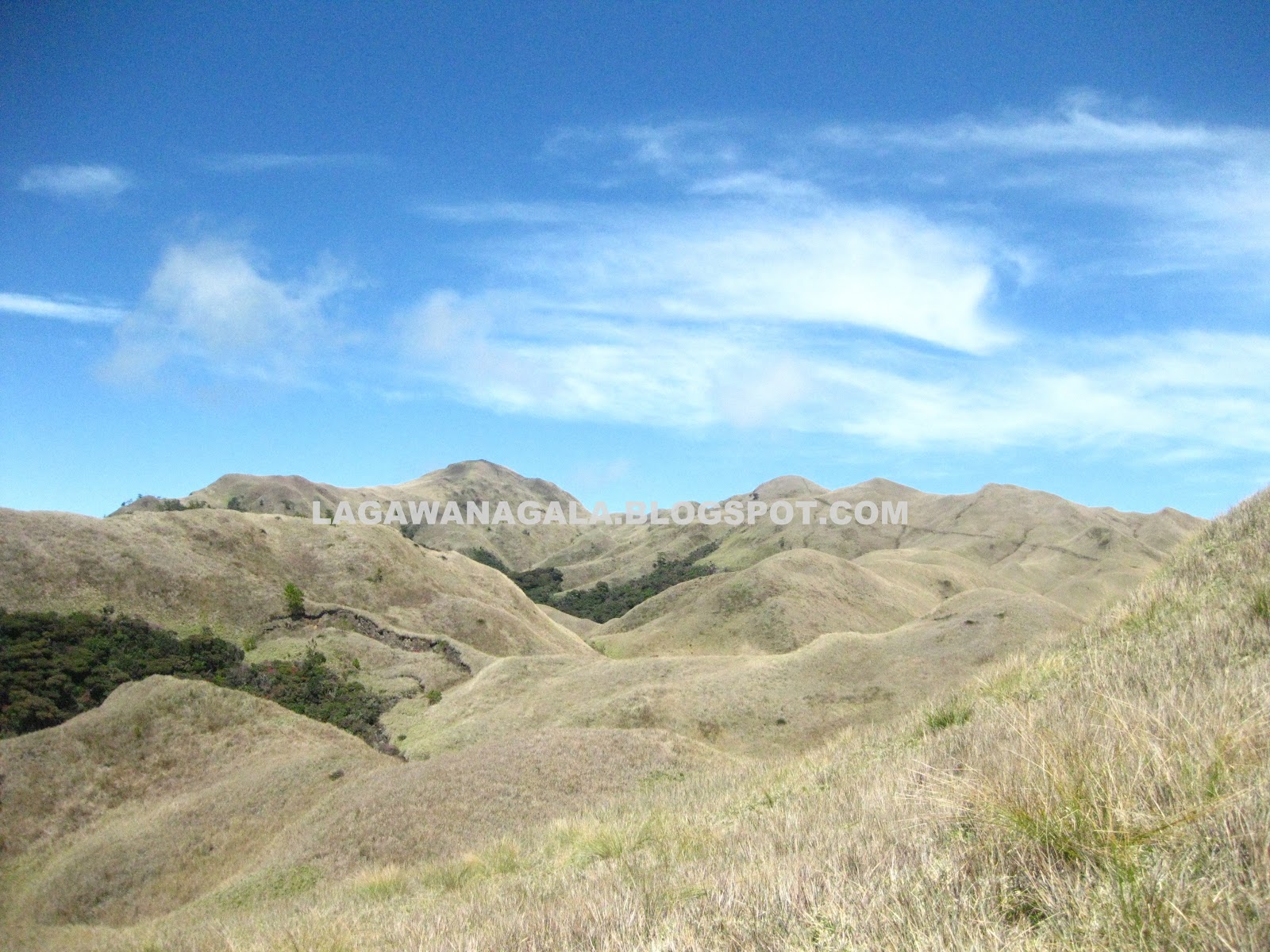 LAGAWAN: MT. PULAG - AMBANGEG TRAIL