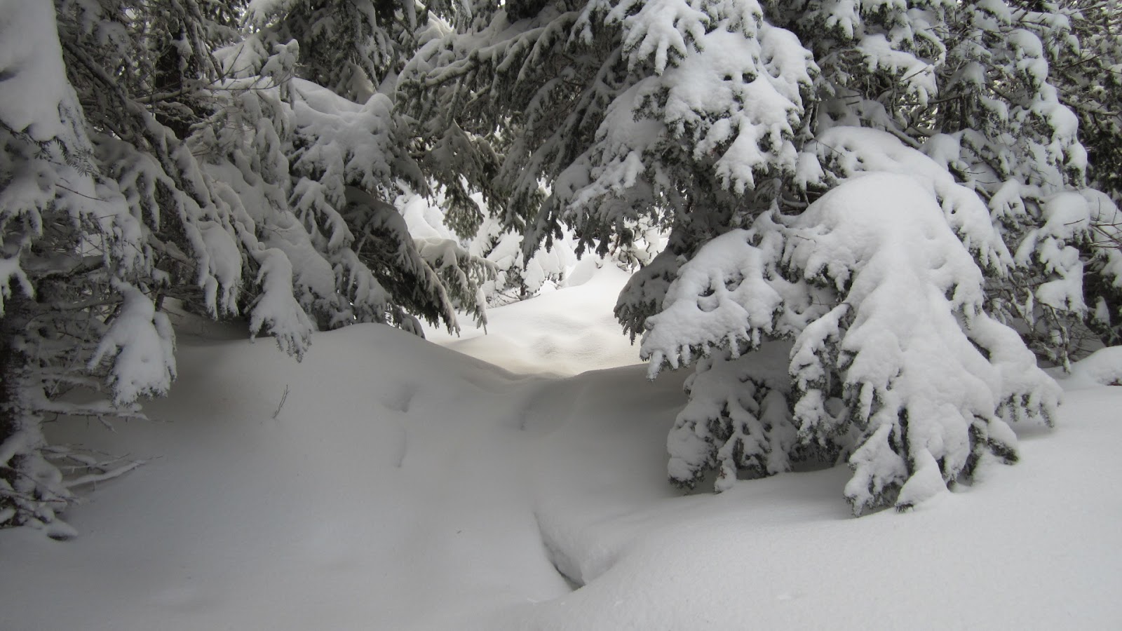 Adventures in New England: Winter Pemi Loop - 2/18/2012