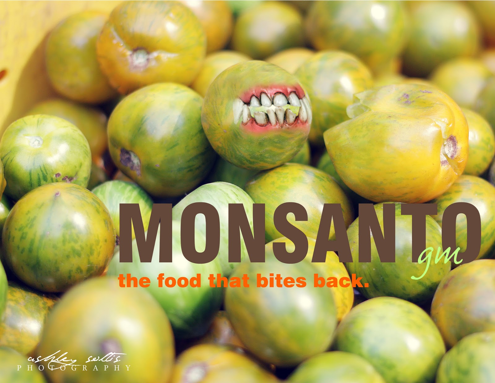 AdvertisingSpring: Ashley Soltis - Monsanto Spoof Advertisement Final