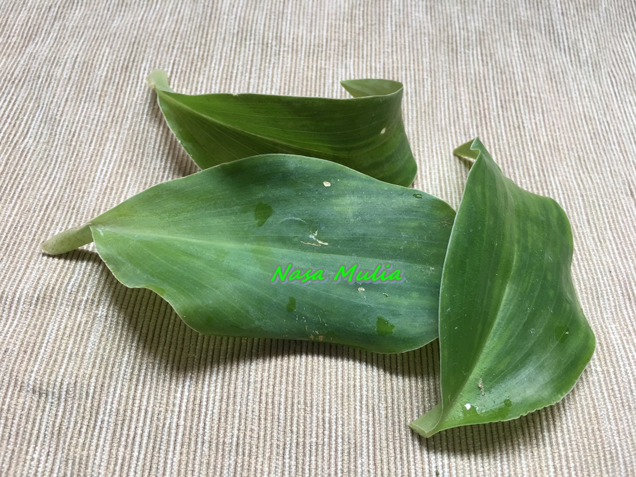 warna warni hidupku..............: Jom Kenali Pucuk-Pucuk / Herba ...