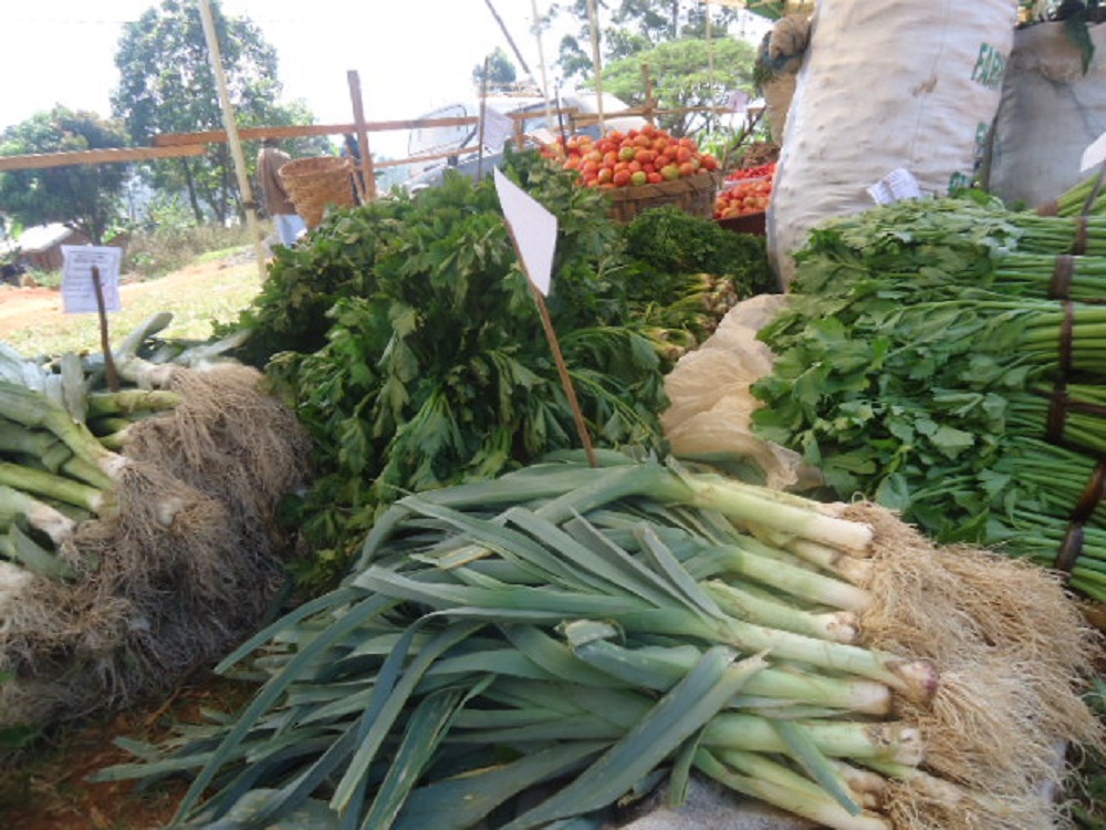 AFRICAN TRADITIONAL EDUCATION