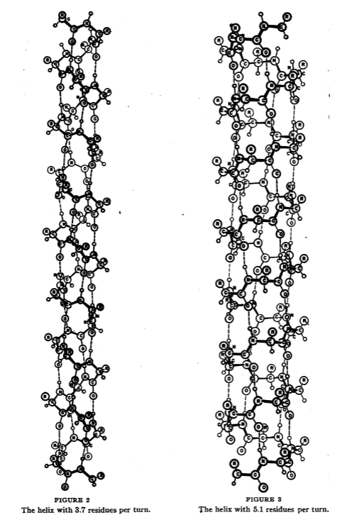 Scientia ac Labore: Pauling's Left-Handed alpha-Helix #chempaperaday 209