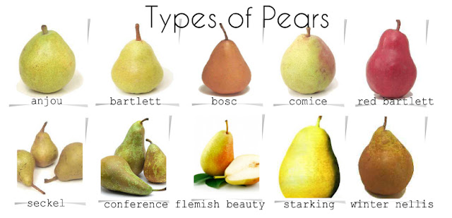 The Earth of India: All About Pear in India