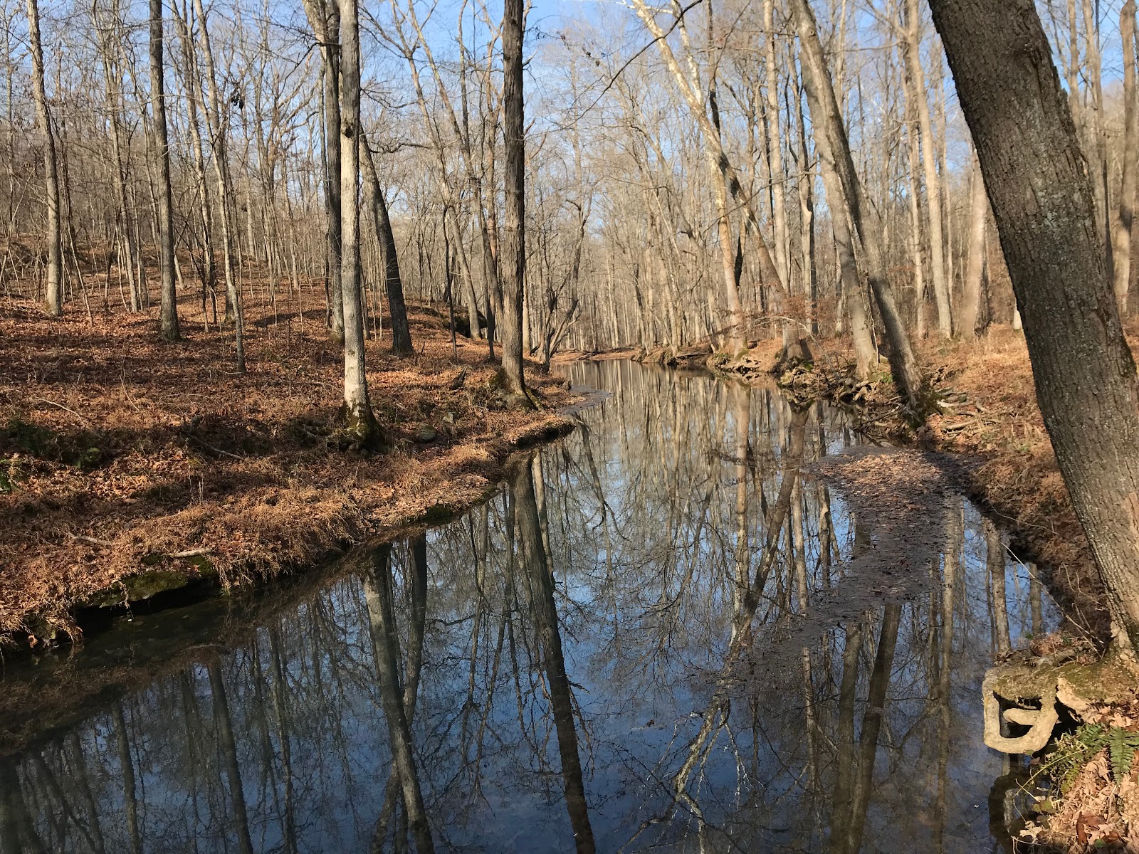 Illinois Botanizer: River to River Trail across southern Illinois Day 8 ...