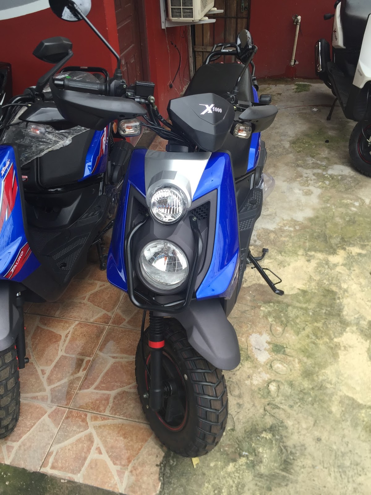 Cedano Motor: Pasola