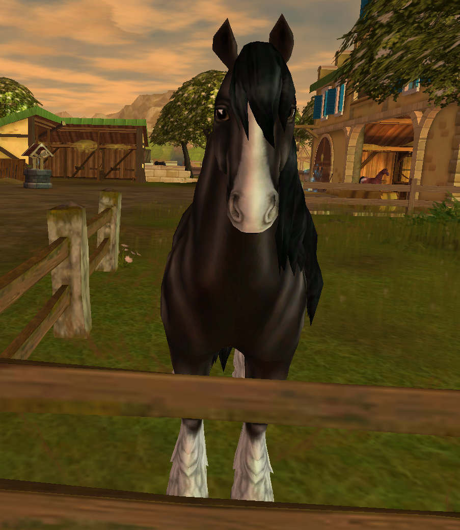 Margaret Archwood i Star Stable: Aktualizacja - Shire!