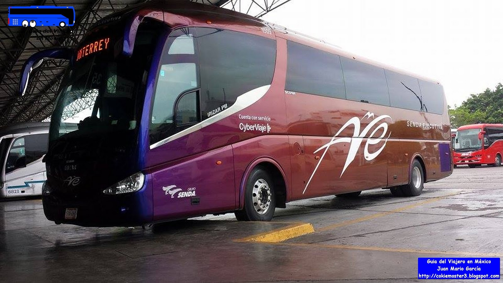 Líneas de Grupo Senda