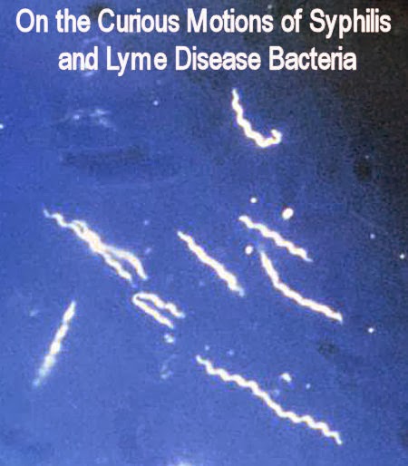 Medical Laboratory and Biomedical Science: On the Curious Motions of ...