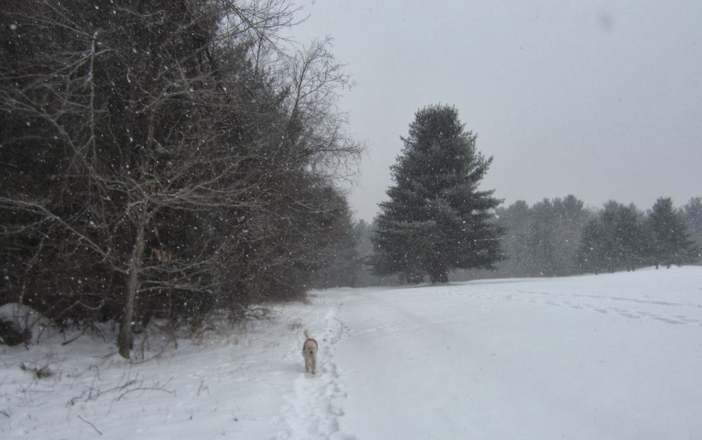 Welcome to the Farmington Valley!