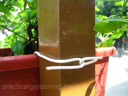 Practical Gardening: Secure a Garden Pot to a Metal Post