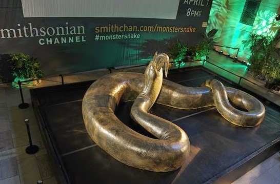 Fakta Mengerikan Titanoboa, Ular Terbesar Yang Pernah Hidup | MATA HATI