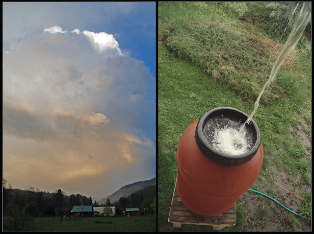 A Great Leap in the Dark: Clearwater rising