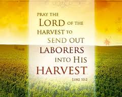 Law & Gospel Everywhere: The Urgency of the Harvest