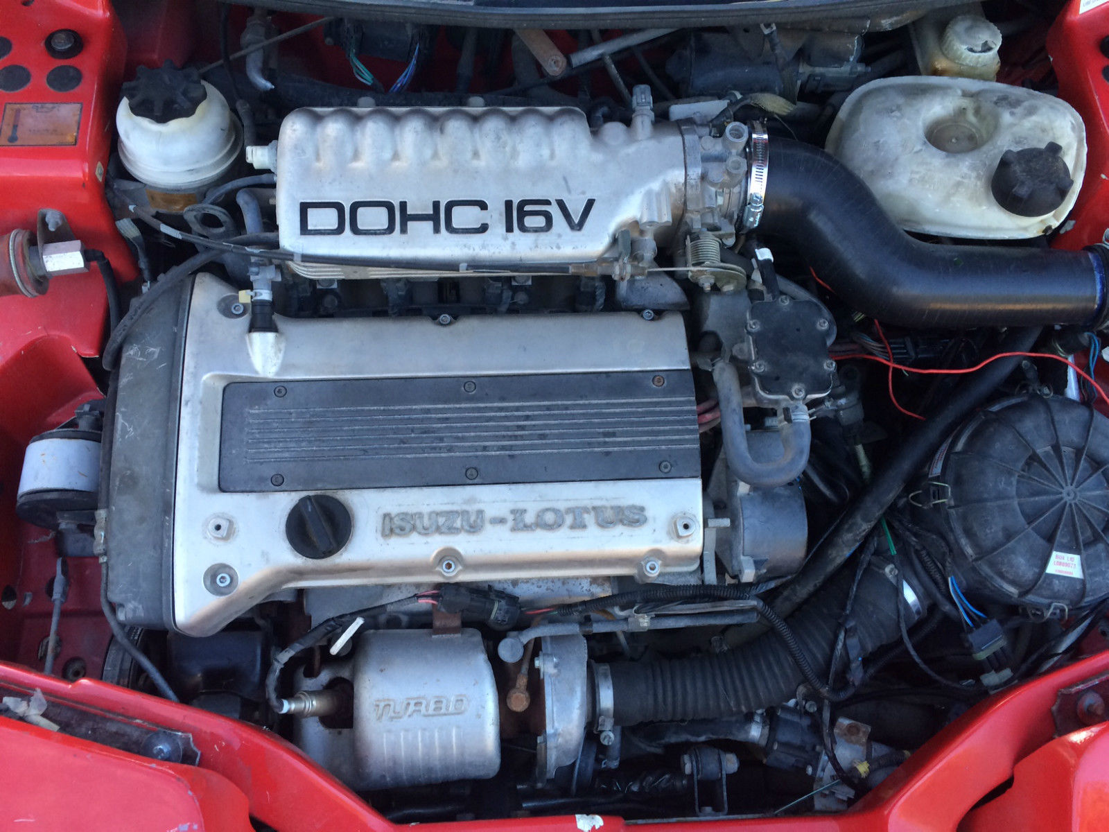 Kía de Muertos: 1991 Lotus Elan M100 - DailyTurismo