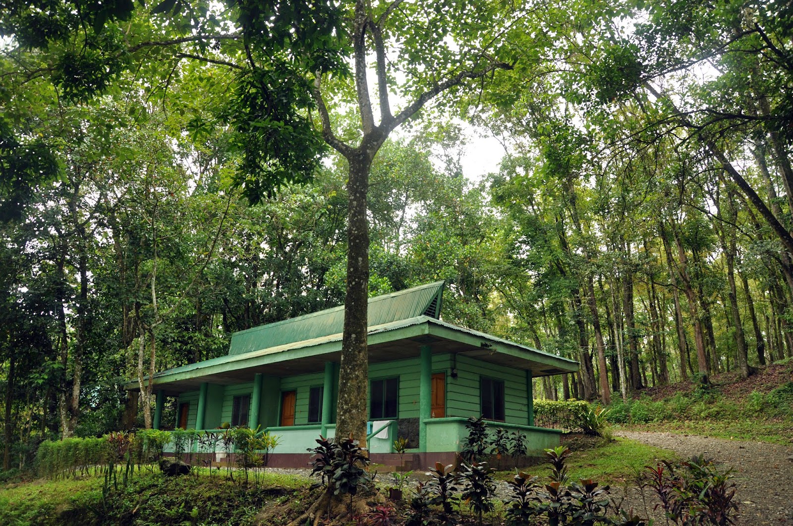 LOGSAC: My experience at Mangima Canyon Spring and Country Resort, Bukidnon