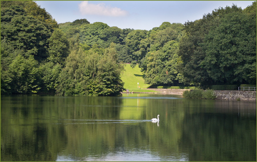 Saltaire Daily Photo: Chellow Dene