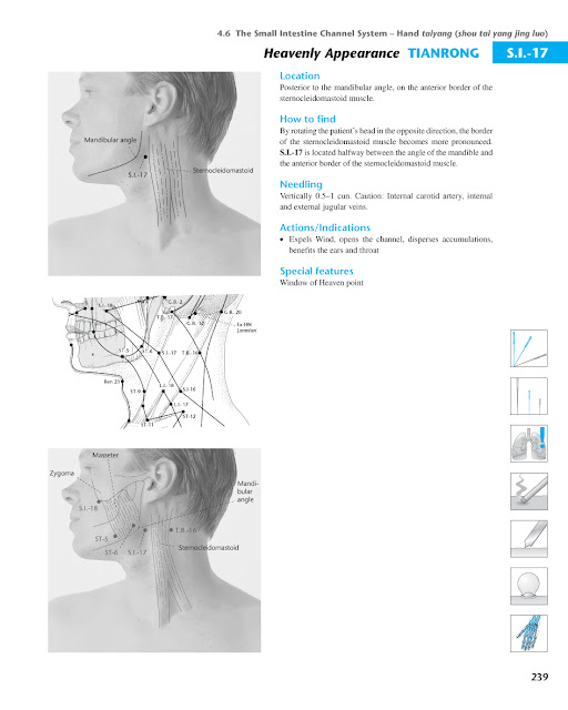 Acupuncture Masters: Acupuncture Points Database - Small Intestine Channel