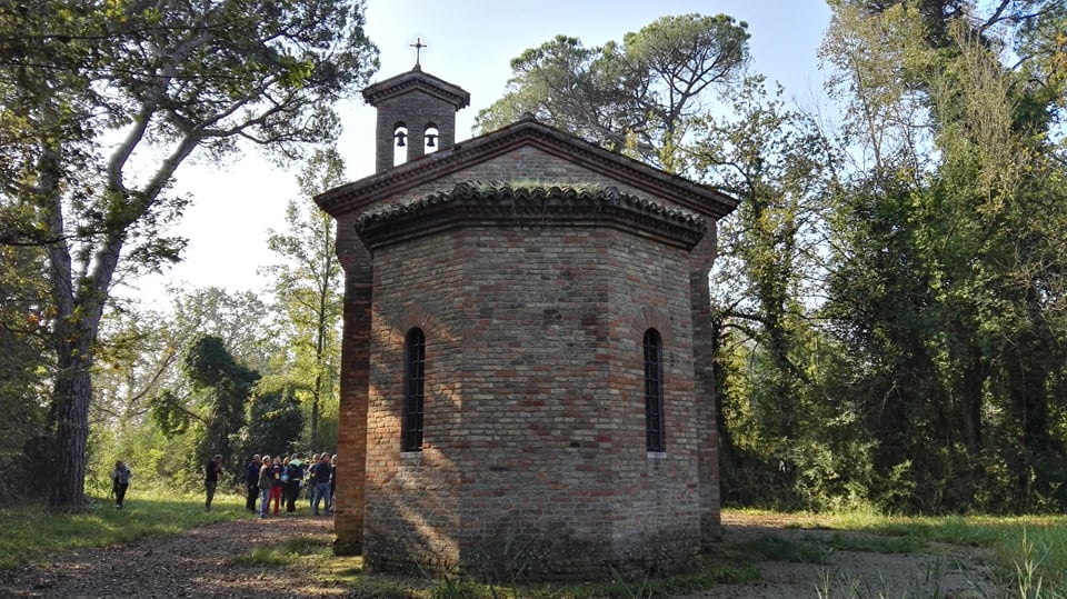 Living Ravenna: Visita a piedi in Pineta San Vitale a Ravenna (RA)