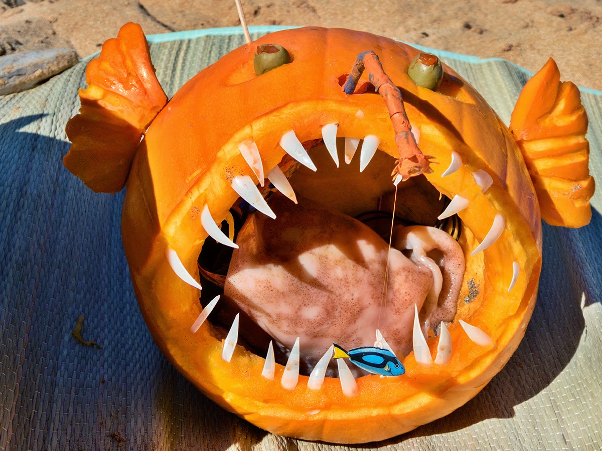 Dolphin Pumpkin Stencil