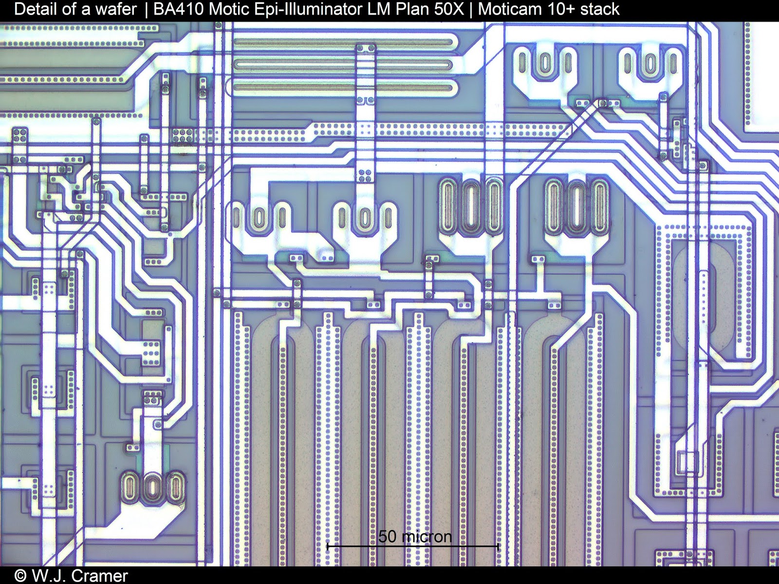 Computer Chips Stacked Under Microscope