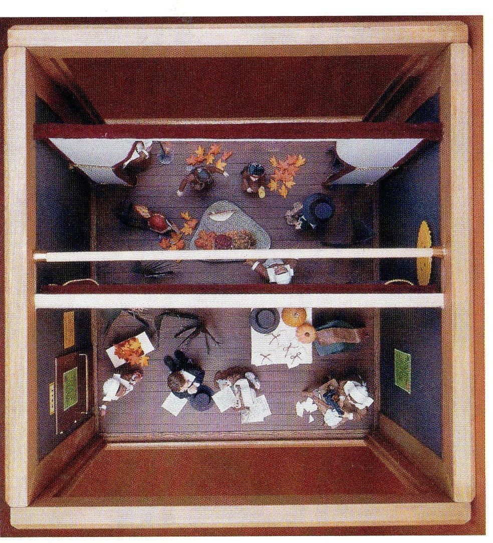 DYI DOLLHOUSE MINIATURES: MAKING ROOMS & DISPLAY BOXES FROM PICTURE FRAMES