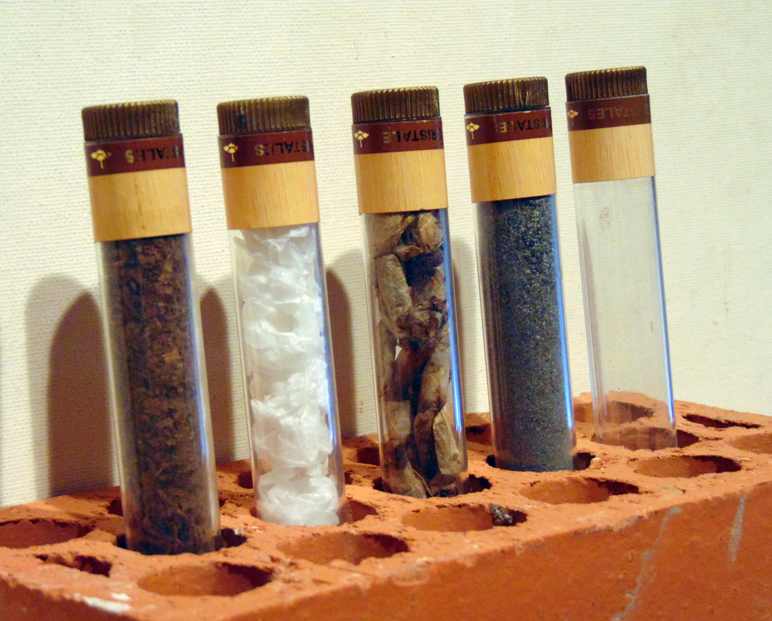 La Arqueología del Ser: Experimento Fallido