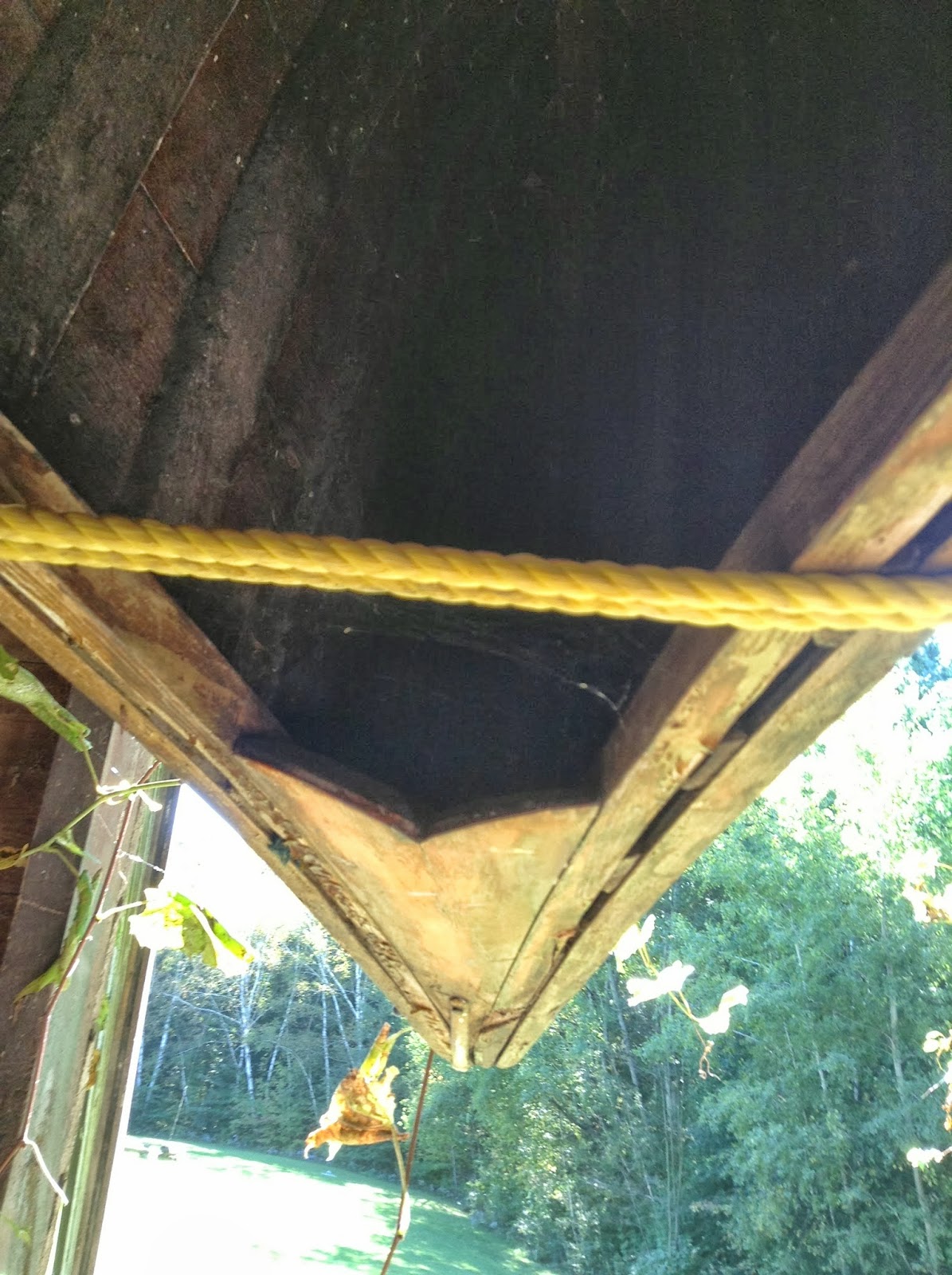 Ravenwood Blog: Early Chestnut Prospector