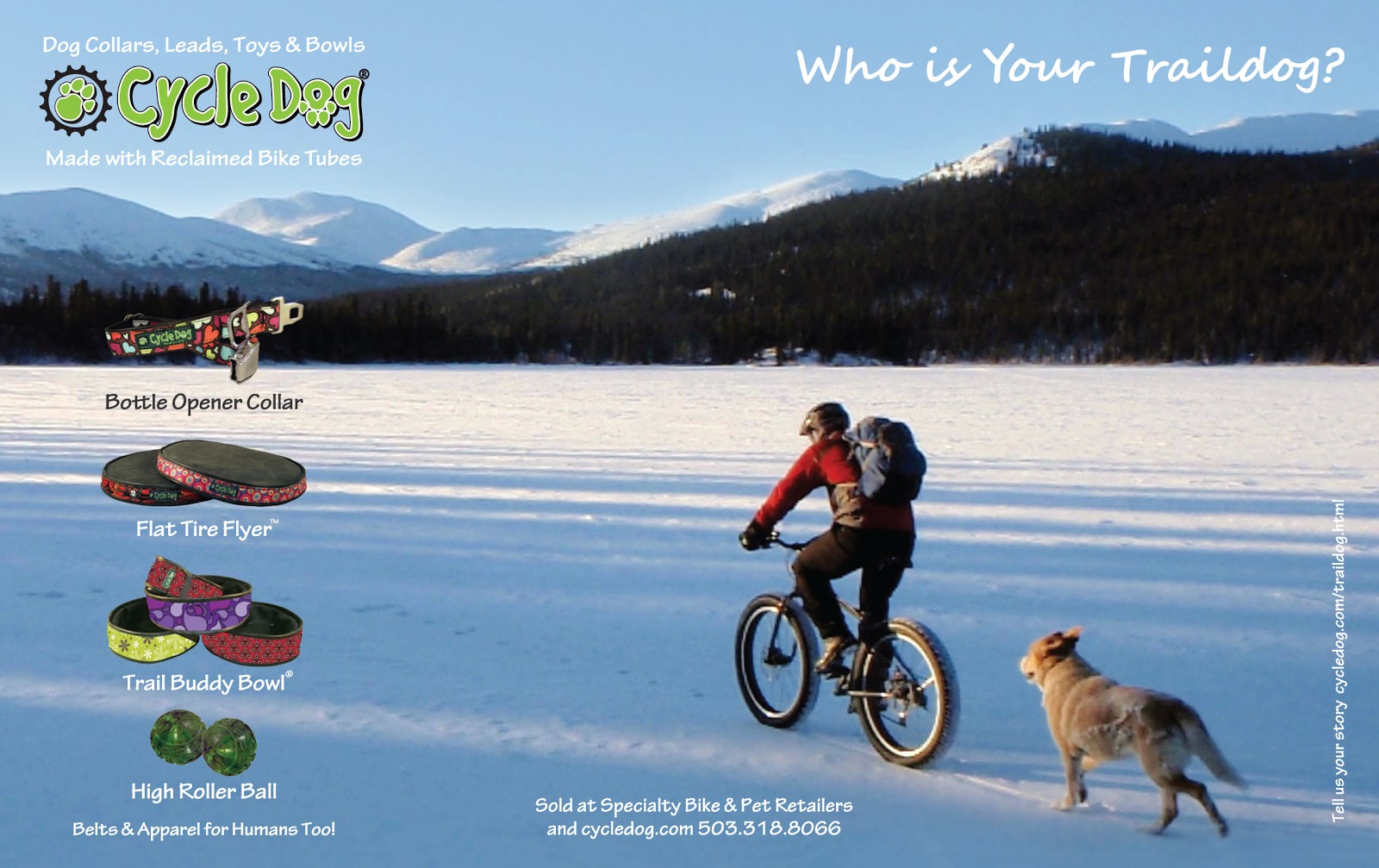 Cycle Dog: November 2012
