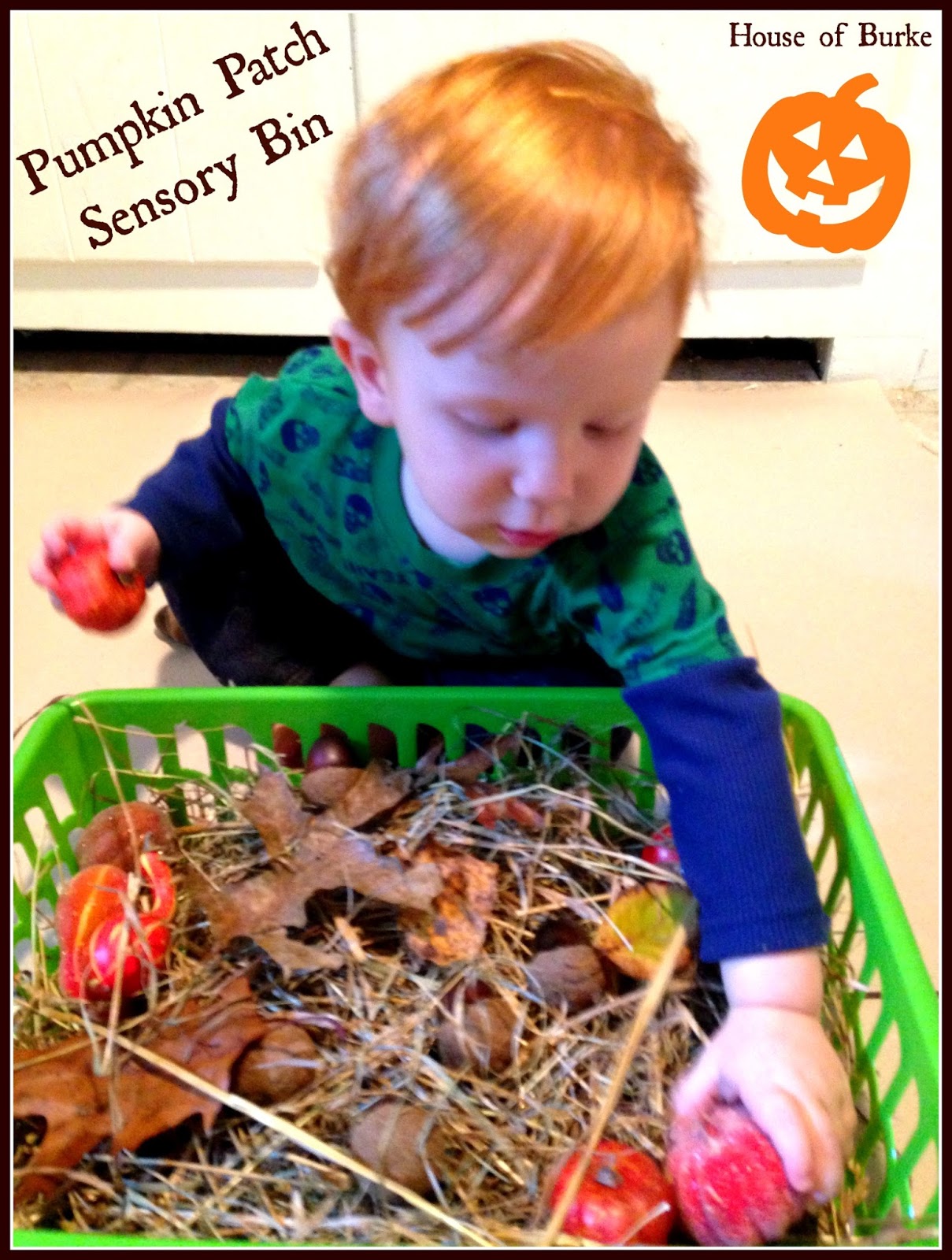House of Burke: Pumpkin Patch Sensory Bin