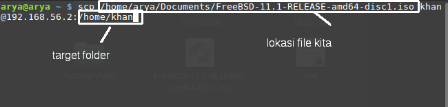 Cara Menggunakan Secure Copy Protocol (SCP) DI LINUX