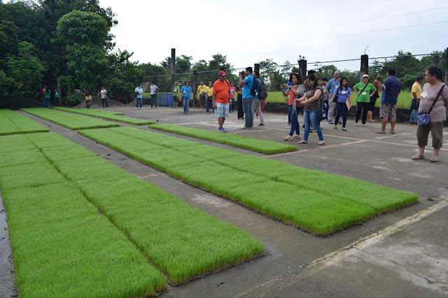 Training held for farmers' school manual ~ Philippines Climate Change ...