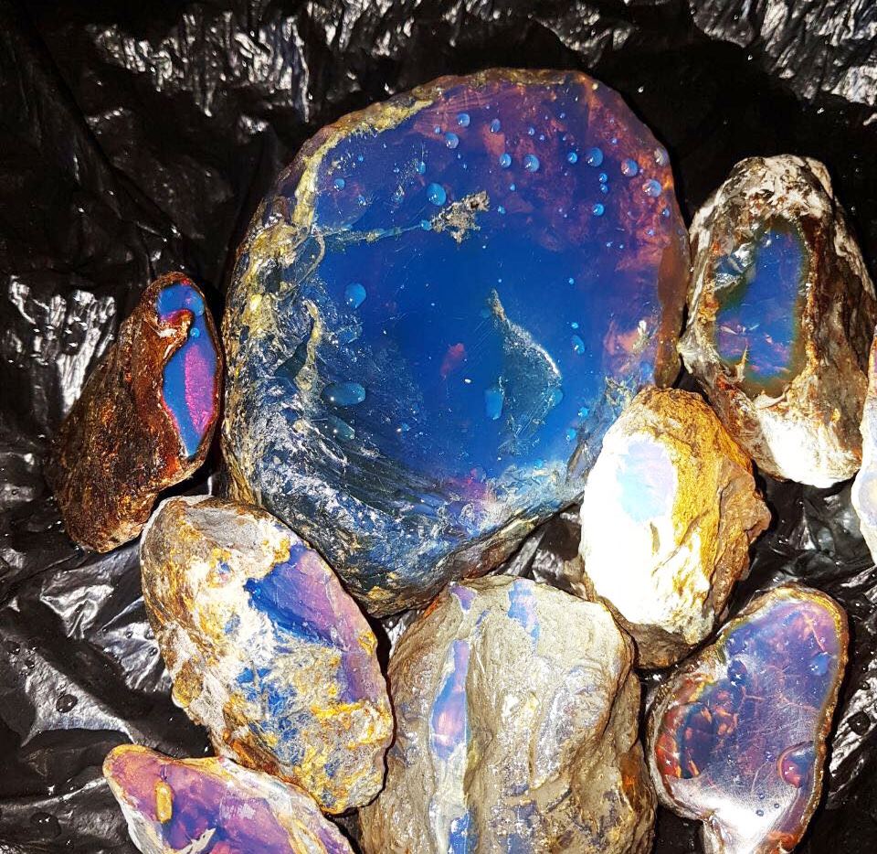 ATACANDODIGITAL.COM |: República Dominicana único país en el mundo con ...