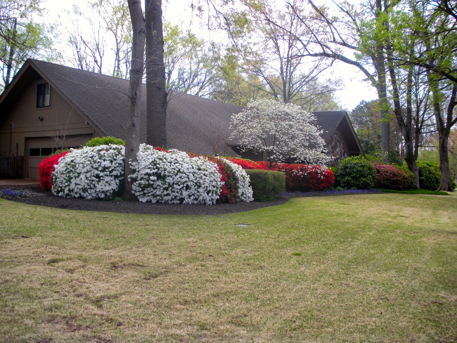 Memphis Trees: A walk in the Greentrees neighborhood to Holmes Park and ...