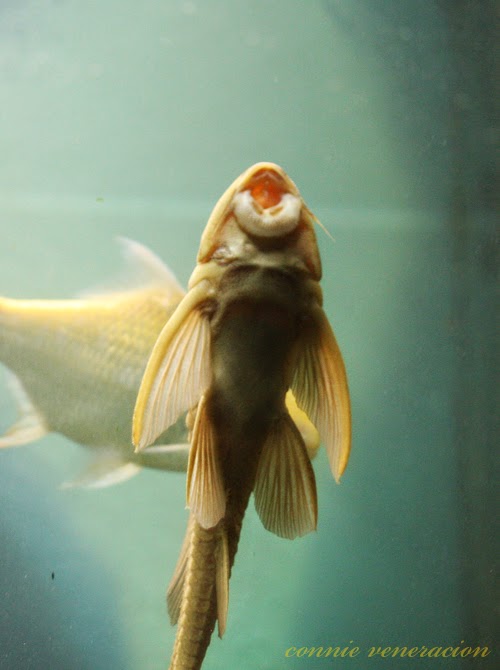 Pink Paradise: April 2014