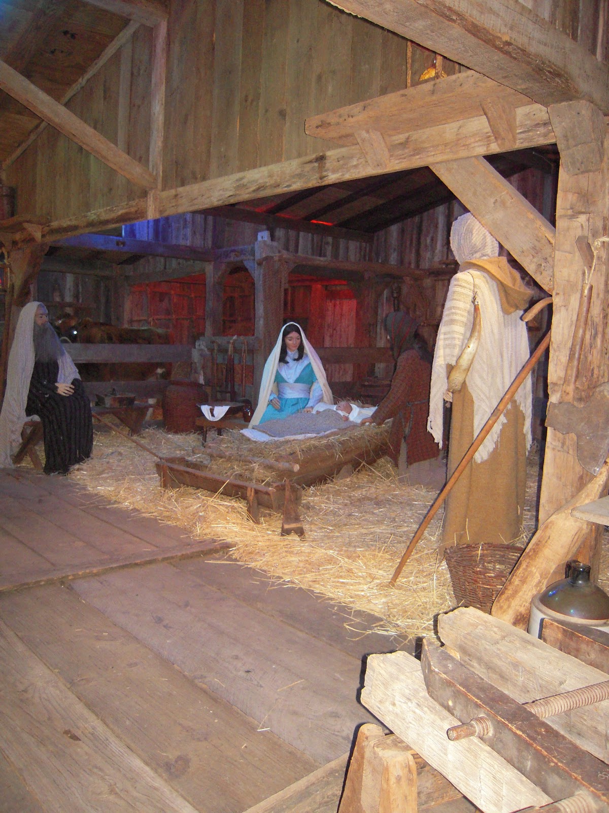 Sweet William The Scot: Crib of the Nativity & Christmas Eve